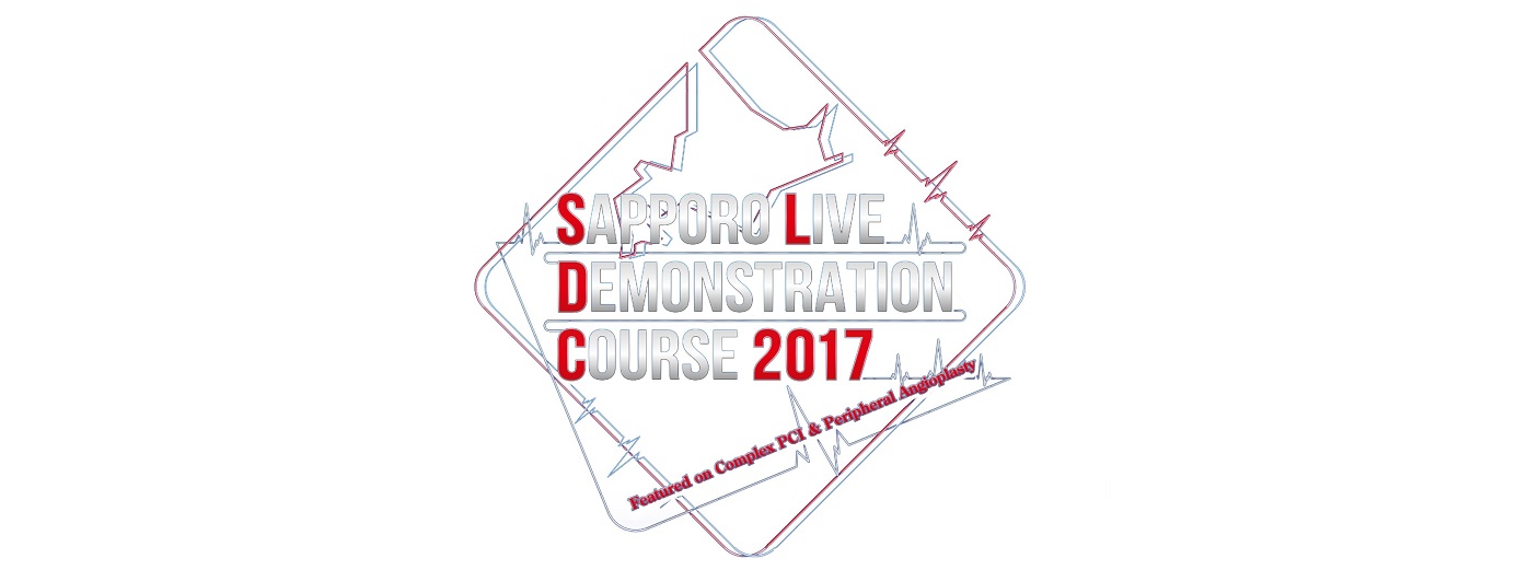 SLDC 2017 | e-casebook