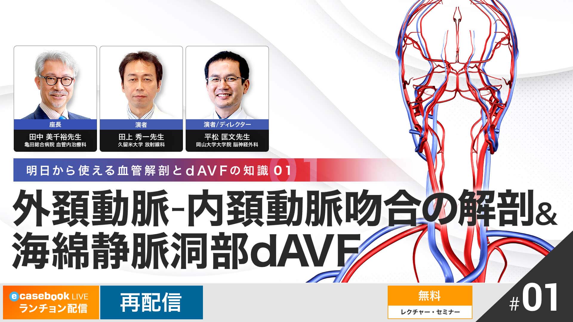 LIVE: 【再】明日から使える血管解剖とdAVFの知識 #01 / 外頚動脈-内頚動脈吻合の解剖 & 海綿静脈洞部dAVF ...