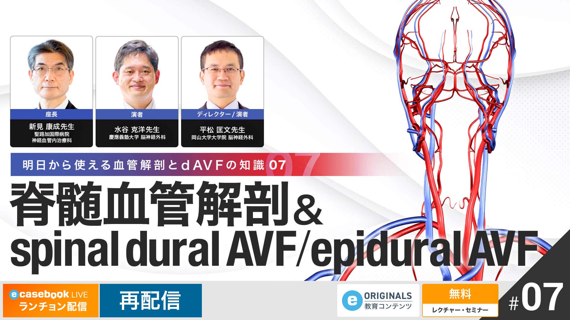 LIVE: 【再】明日から使える血管解剖とdAVFの知識 #07 / 脊髄血管解剖＆spinal dural AVF / epidural AVF | Neurosurgery | e ...
