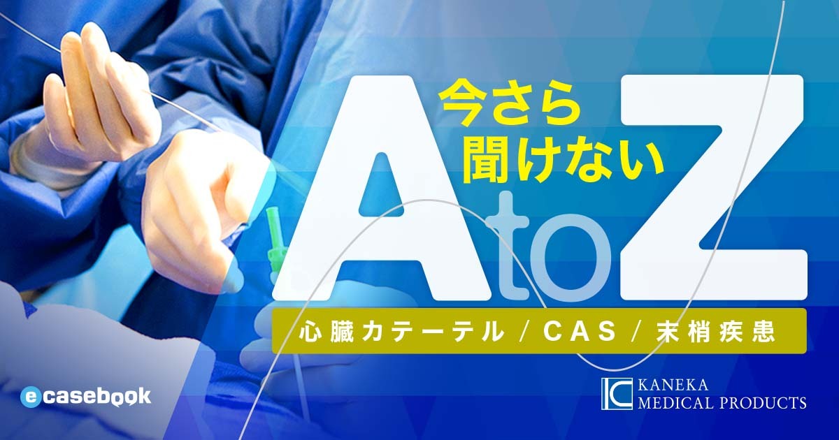 今さら聞けない A to Z Archive VIDEO Collection | e-casebook